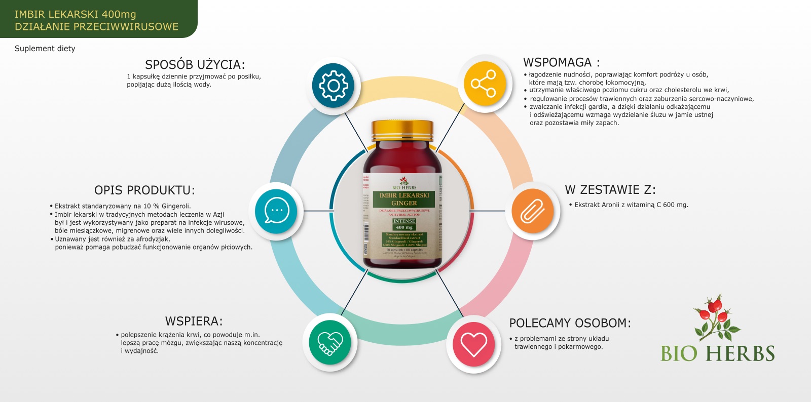 Ekstrakt z imbiru w kapsułkach - Bio Herbs